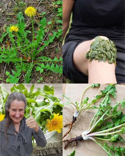 It is among the most powerful plants in the world - News Article