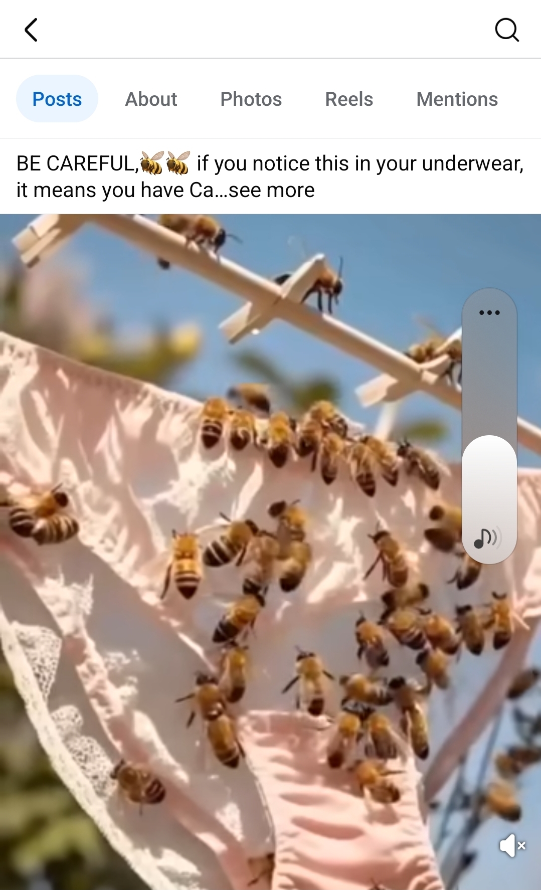 Why Bees Might Be Attracted to Clothes Hung Outdoors - News Article